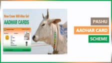 Pashu Aadhar Card 2026 Online Apply, Check Status at inaph.nddb.coop ...